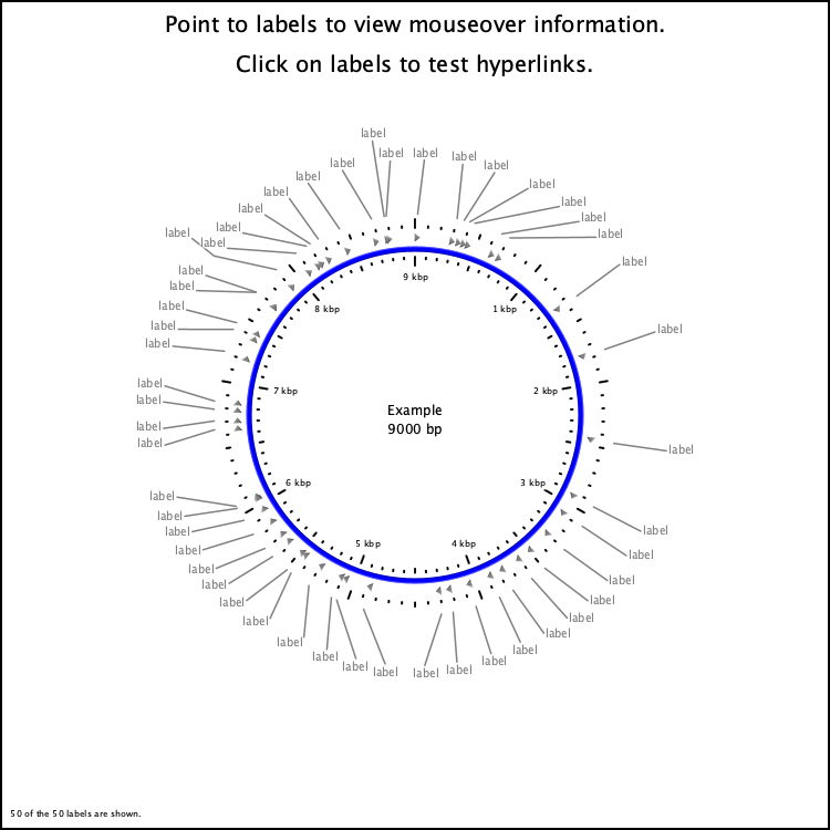 Example Example